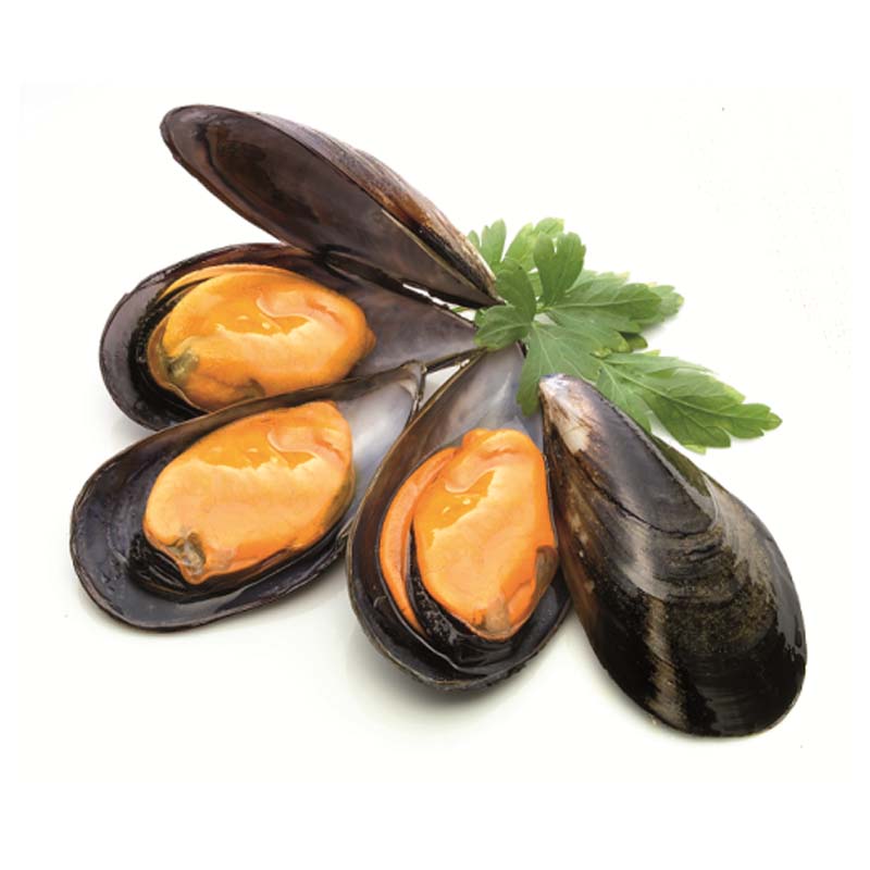 Exxus Oyster Bar | Los Mariscos