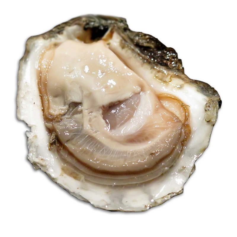 Exxus Oyster Bar | Los Mariscos